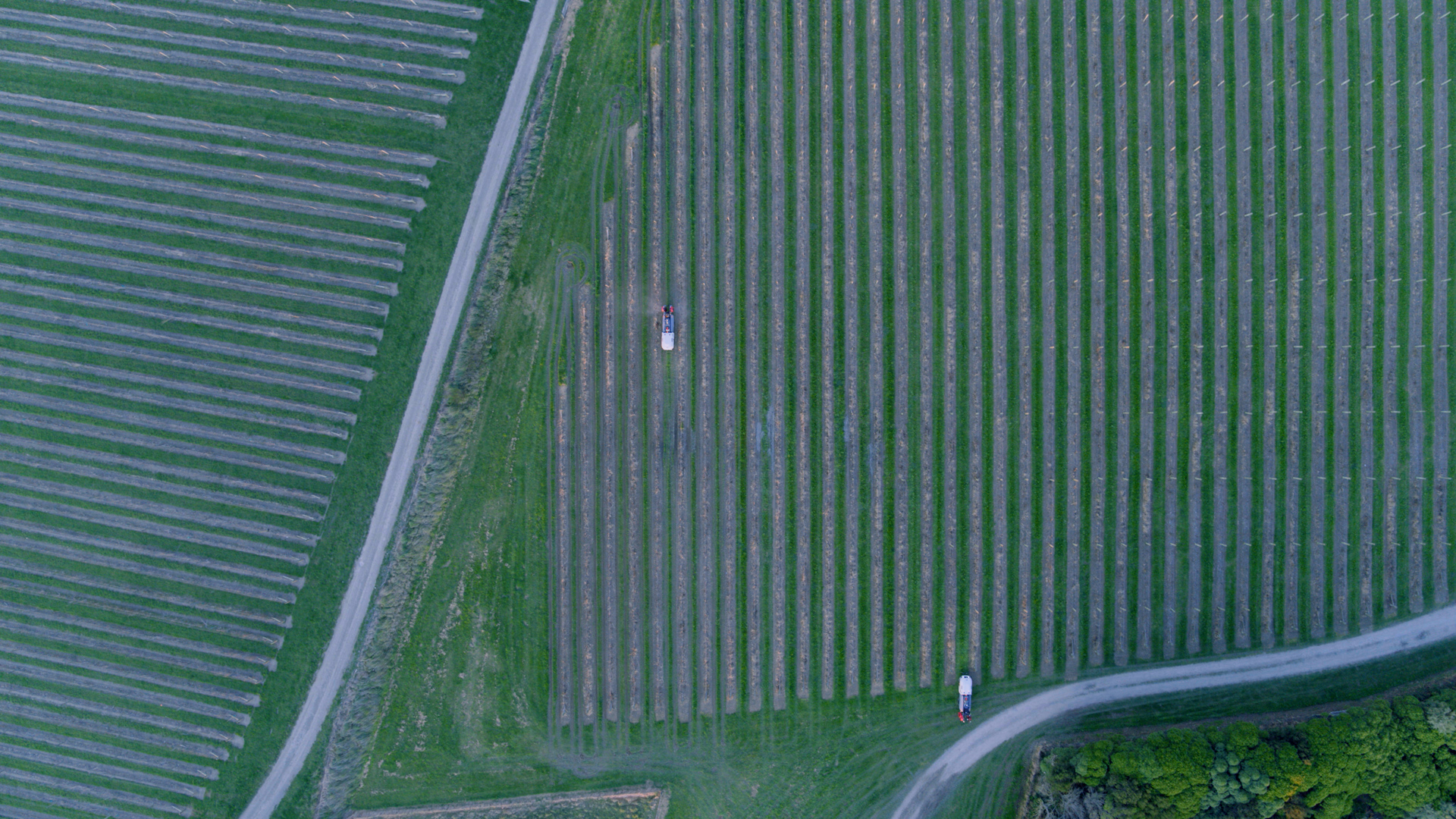 Robotics Plus launches multi-use AV for sustainable orchard and vineyard production | ADAS ...